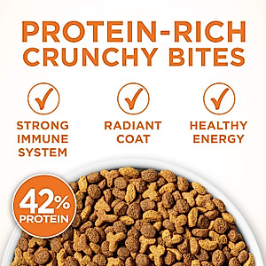 Purina ONE High Protein, Healthy Weight Dry Cat Food, +Plus Ideal Weight With Turkey - 7 lb. Bag