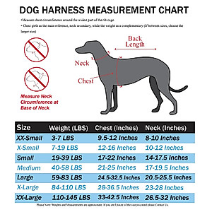 Copatchy No Pull Reflective Adjustable Dog Harness with Handle- Comfortable Soft All Weather Mesh, Easy On Puppy Harness for Small Medium and Large Dogs (Black) Small