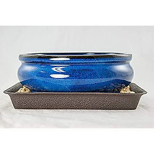 6" Oval Dark Blue Mame Shohin Bonsai/Succulent Pot + Tray + Rock + Mesh Combo