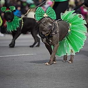 4 Pcs St Patrick's Day Dog Costume Pet Costume, Tutu for Dogs Sequins Bowtie Shamrock Headband Dog Dress Tutu Collar Green Puppy Skirt for St. Patrick's Day Irish Party Dog Pets Accessories Photo Prop