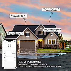 SMAAIR Smart Ceiling Fan with light, 3 Blades Black Outdoor Ceiling Fan with DC Motor,10-Speed,1-8 Hours Timer Schedule, Compatible with Remote Control/Alexa/Google Home/Siri (48", Black/Gold)