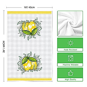 Artoid Mode Eucalyptus Leaves Lemons Summer Kitchen Towels Dish Towels, 18x26 Inch Hello Sunshine Holiday Decoration Hand Towels Set of 2
