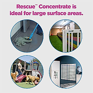 REScue One-Step Disinfectant Cleaner & Deodorizer, For Veterinary Use, Animal Shelters, Pet Foster Homes, Kennels, Litter Box, Concentrate, 1-Gallon
