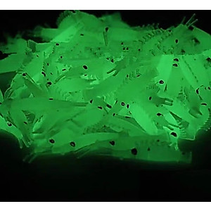 ROYHOO 100pcs Luminous Silicone Soft Shrimp Lure Baits Soft Lure Worms Glow Simulation Prawn Shrimps Fishing Tackle Lures baits