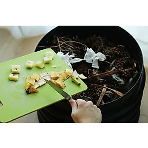 HomeGrownWorms - 250+ (1/4LB) Live Red Wiggler Composting Worms - Live Delivery - Vermicomposting Garden Red Wrigglers - Eisenia Fetida - Wiggle Worm Farm