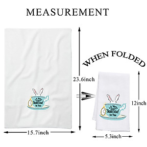 BDPWSS Funny Daughter Birthday Gift a Very Merry Unbirthday to You Friend Housewarming Kitchen Dish Towel (Unbirthday You Towel)