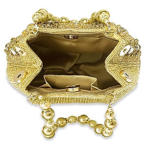 Aheli Indian Potli Bags for Women Evening Bag Clutch Ethnic Bride Purse with Drawstring (P58)