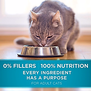 Purina ONE Natural Dry Cat Food, Tender Selects Blend With Real Salmon - 3.5 lb. Bag