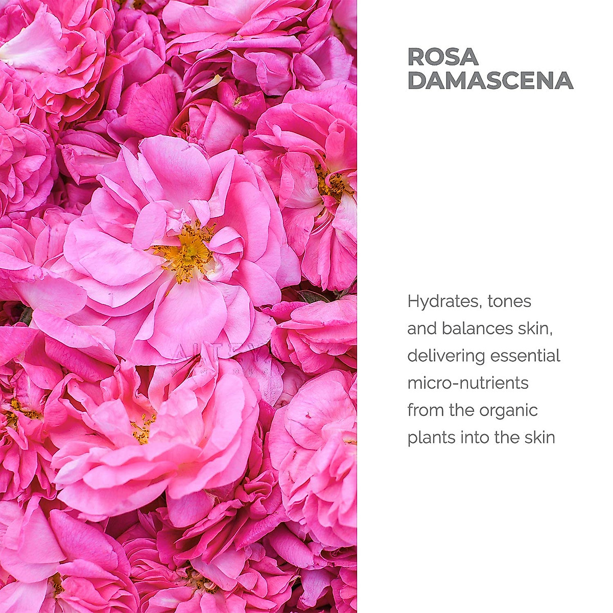 Alteya Organics Rose Water, Organic Facial Toner, 34 Fl Oz/ 2x17 Fl Oz Bundle, Pure Bulgarian Rosa Damascena Flower Water, Award-Winning Moisturizer, BPA-Free Bottle with Reducer