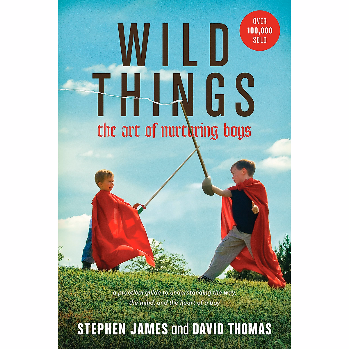 Wild Things: The Art of Nurturing Boys (A Practical and Encouraging Guide to Christian Parenting)