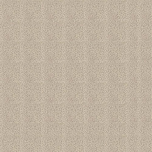 Kelley Technical Olympic Patio Tones Deck Coatings Sand Valley - 1 Gallon