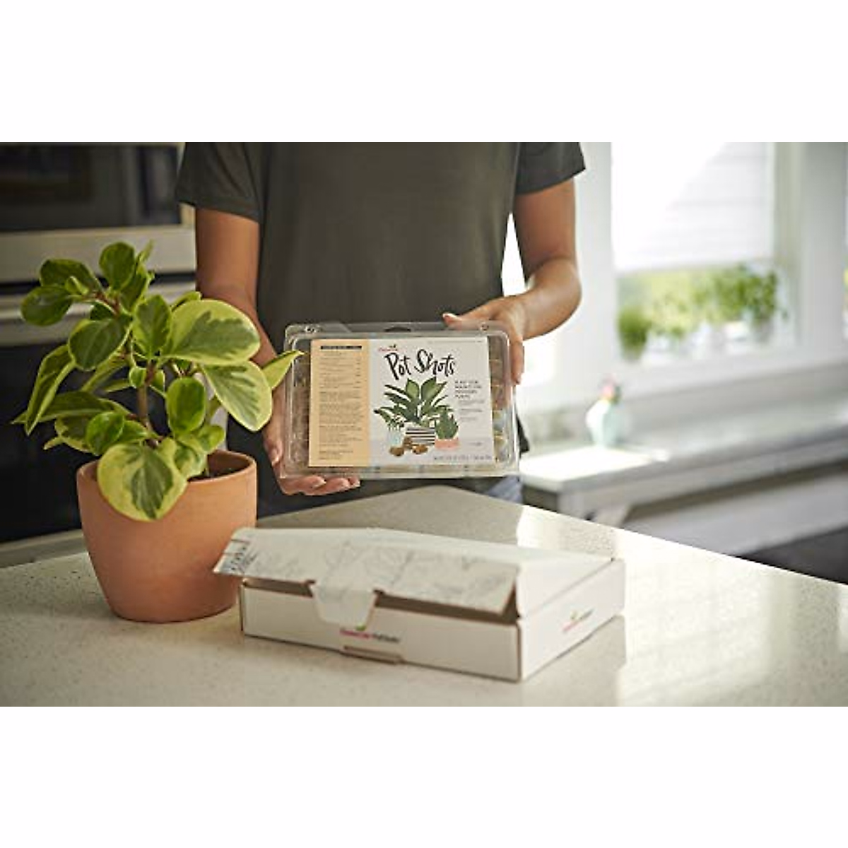 Osmocote PotShots: Premeasured House Plant Food, Feed for up to 6 Months, 25 Nuggets