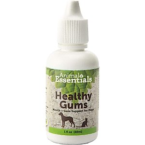 Animal Essentials Healthy Gums for Dogs & Cats - Dental Care, Mouth & Gum Support, Dental Drops, All Natural Pet Supplement, Oral Care - 1 Fl Oz