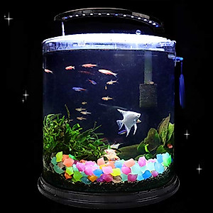 Oubest Fish Tank Decorations Rocks Little Glow in The Dark Aquarium Stones Fish Turtle Tank Pebbles Gravel Garden Rocks 300Pc 1.4cm
