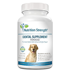 Nutrition Strength Dental Care for Dogs, Daily Supplement for Healthy Dog Gums and Teeth with Organic Kelp, Strawberry Leaf, Pumpkin Seed for Dog Mouth and Teeth Cleaning, 120 Chewable Tablets