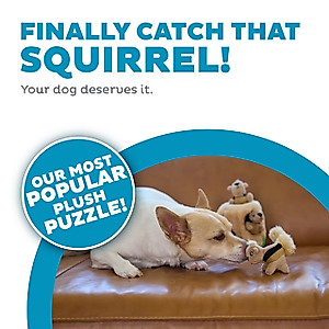 Outward Hound Hide A Squirrel Plush Dog Toy Puzzle, Small