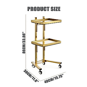 2-Tier Metal Rolling Cart, Stainless Steel Salon Storage Stand with Wheels Trolley Tray Storage Cart Kitchen Storage Trolley Utility for Bedroom Tattoo Shop (Golden)
