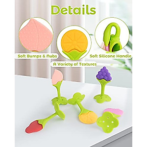 Teething Toys for Babies, 10 Pack Silicone Baby Teethers, Frozen Baby Teething Toys, Fruit Shape, BPA-Free, Natural Organic Soft & Textured