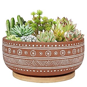Thirtypot 8 Inch Terracotta Succulent Planter Pot with Drainage Hole and Bamboo Tray, Round Shallow Bonsai Pot for Indoor Plants