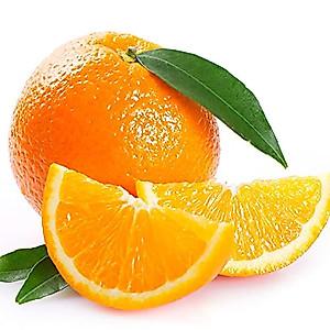 QAUZUY GARDEN 10 Seeds Orange Seeds - Organic Non-GMO Sweet Orange Seeds - Sweet Fragrant Citrus Sinensis Fruits - Grow Your Own Delicious Fruit Tree
