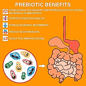 Probiotics with Prebiotics for Men and Women - 35 Strains Organic Probiotic 100 Billion CFU for Gut & Digestive Health, Vegan Acidophilus Probiotic Supplement, Non-GMO Raw Probiotic 60 Capsules