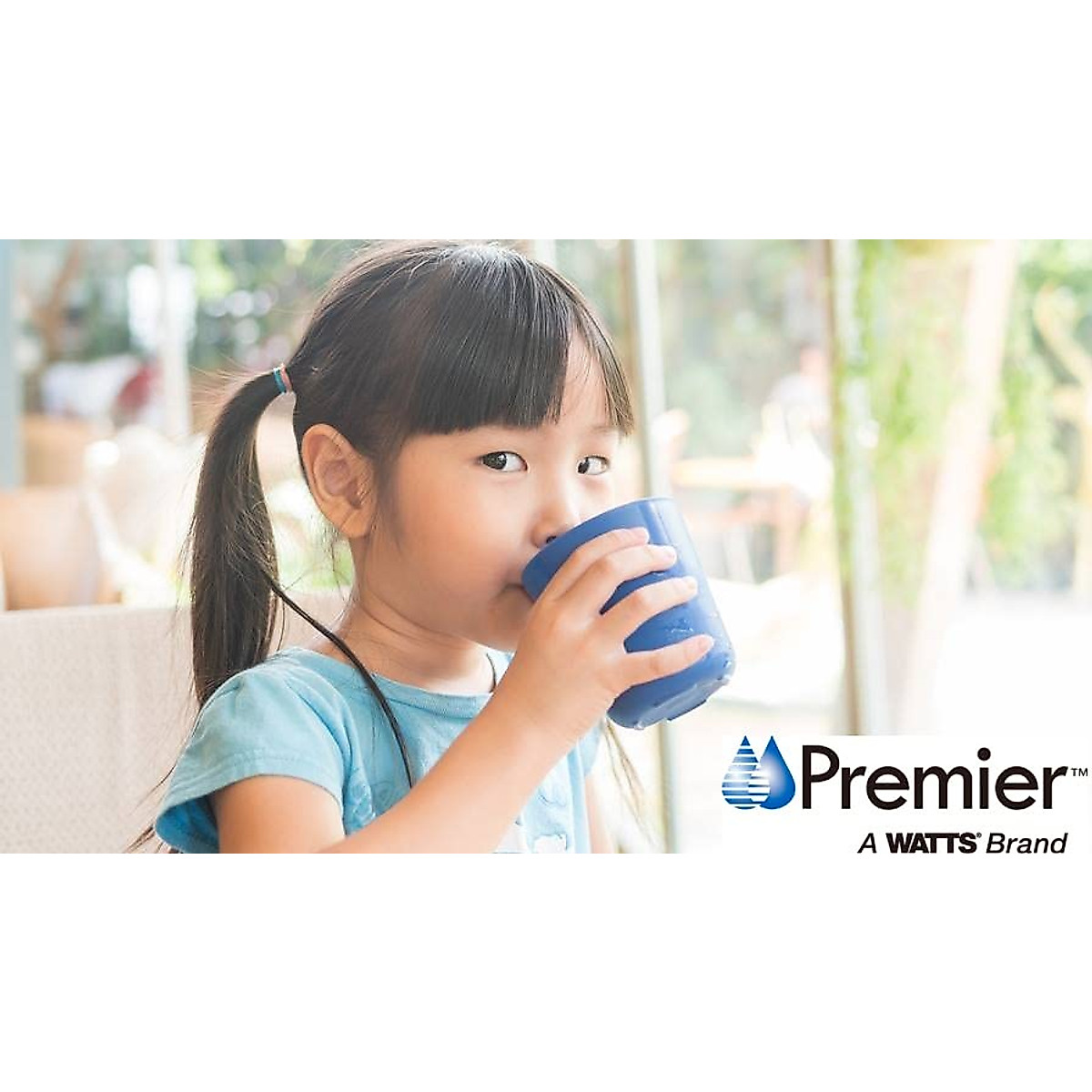 Watts Premier WP560039 Pure UF-3 Filtration System Water Filter Replacement Cartridge, 1 Pack, Blue