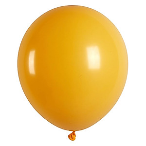 Beaumode Here Comes the Son Balloon Arch Garland Kit 149pcs for Retro Sun Baby Shower First Trip Around the Sun Sunshine Theme Birthday Kids Groovy Boho Party Backdrop Decoration (Slate Blue)