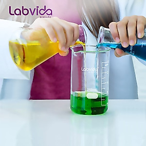 Labvida 6pcs of Vol. 250ml Griffin Tall Form Glass Beakers with Printed Graduation,3.3 Borosilicate,LVA033