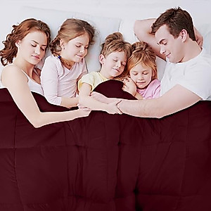 Utopia Bedding All Season Down Alternative Quilted Queen Comforter, Duvet Insert with Corner Tabs, Machine Washable, Bed Comforter (Burgundy/Red)