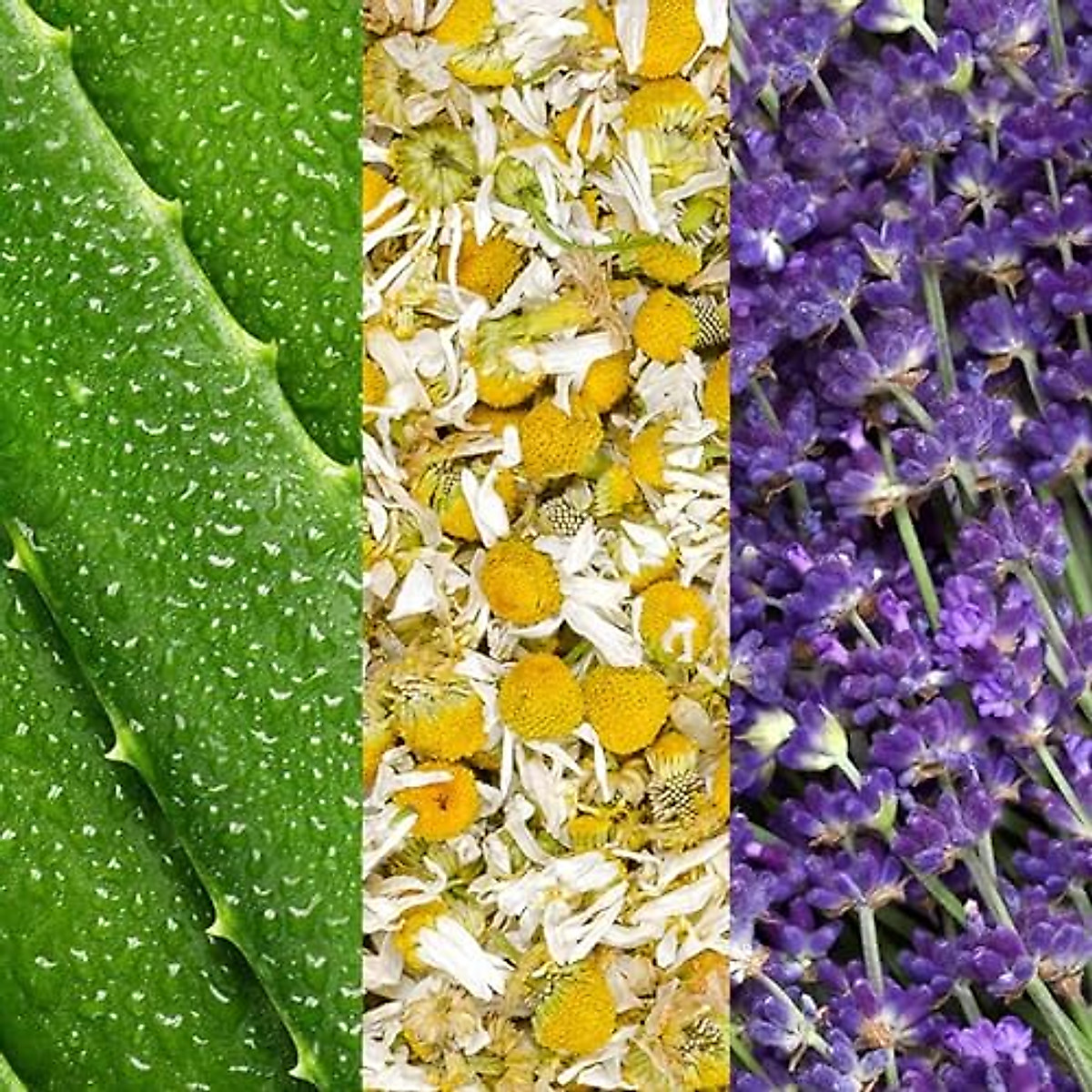 Mario Badescu Facial Spray 2 Piece Set, Includes Aloe, Chamomile & Lavender Face Mist PLUS Aloe, Cucumber, Green Tea Face Mist for All Skin Types, Dewy Finish, 4 Fl Oz, 2 Count (Pack of 1)