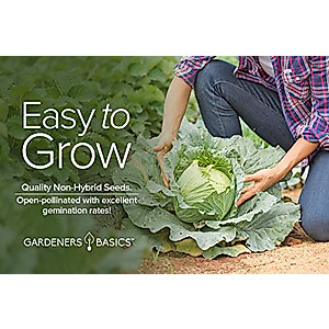 Cabbage Seeds for Planting - Golden Acre Green Heirloom, Non-GMO Vegetable Variety- 1 Gram Approx 225 Seeds Great for Summer, Spring, Fall, and Winter Gardens by Gardeners Basics