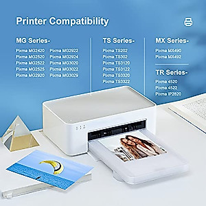 PG245 CL-246 Ink Cartridge Replacement for Canon PG-245XL CL-246XL for Canon PIXMA MX490 MX492 MG2520 MG2522 MG2920 MG3022 TS202 TS3120 TS3320 IP2820 (1 Black+1 Tri-Color)