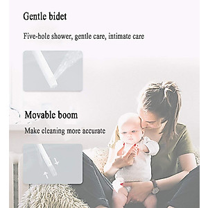 Square Smart Toilet Seat Drying and Deodorizing Toilet Bidet Seat, Suitable for Square White Seat, Warm Air Drying, Stainless Steel Nozzle