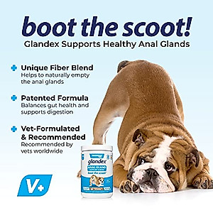 Glandex Anal Gland Soft Chew Treats with Pumpkin for Dogs Digestive Enzymes, Probiotics Fiber Supplement for Dogs Boot The Scoot (Peanut Butter Chews, 120ct)