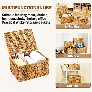 Edergoo Wicker Basket with Lid, Water Hyacinth Storage Baskets for Shelves, Large & Small Wicker Storage Basket with Lid and Built-in Handles, Hand Woven Wicker Baskets for Storage 2 Pack