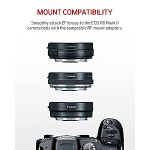 Canon EOS R6 Mark II RF24-105mm F4-7.1 is STM KIT