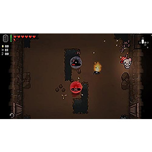 The Binding of Isaac Afterbirth / PS4