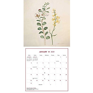 Botanicals 2021 Wall Calendar