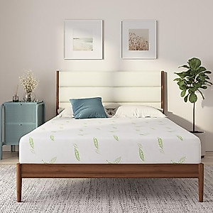 NapQueen Queen Size Mattress, 10 Inch Anula Green Tea Infused Memory Foam Mattress, Queen Size Mattress Bed in a Box, CertiPUR-US Certified Mattress