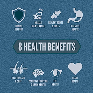 ORIJEN GUARDIAN 8 Dry Cat Food, Grain Free Cat Food for Adult Cats, With Chicken, Salmon and Rabbit, 4lb