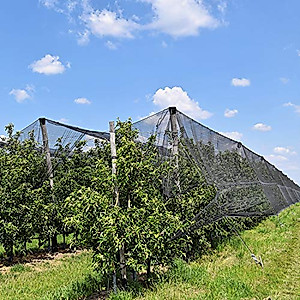 Zonon Insect Netting Garden Mesh Netting Fly Bird Net Barrier Hunting Blind Plant Protecting (Black, 3 x 10m)