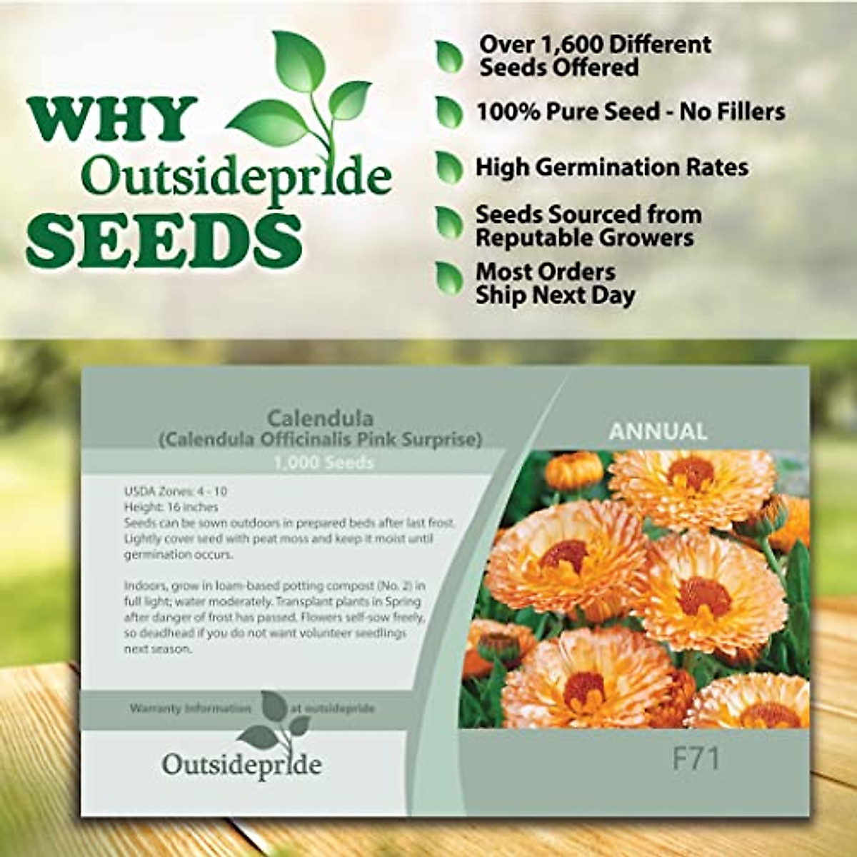 Outsidepride Calendula Officinalis Pink Surprise Pot Marigold Garden Flower Seed - 2000 Seeds