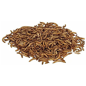 Aqueon Monster Fish Medley Food, 3.5 Ounces Each (2 Pack - 3.5 oz)