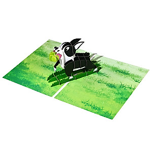 GREETING ART Dog Pop Up Card,3D Pop Up Card,Pop Up Birthday Card,Boston Terrier Pop Up Card, Dog Lover Card,Thank You Card for Mothers Day, Fathers Day,Valentines Day, Birthday, All Occasion