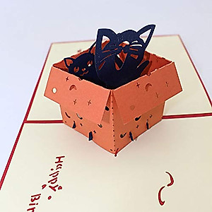 DUBRIX 3D Popup Greeting cards Pop Up Card with envelope Cat in the box for kids,girl friends The Perfect Handmade Gifts on Birthday