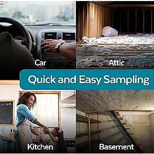 ImmunoLytics DIY Mold Test Kit for Home - Easy to Use Professional Mold Testing Kit - Individual Room Screening Package - 4 Plates and 1 Swab Kit