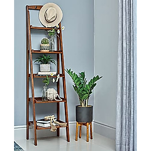 Coaster Furniture 5-Shelf Ladder Bookcase Solid Wood Frame Cherry 18.5" W x 15.75" D x 71.75" H 804369