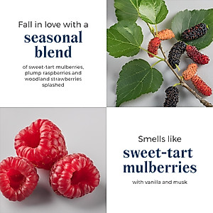 PartyLite 3-Wick Jar Candle, Highly Fragranced Clean Burning Glass Candle, 25-45 Hours Burn Time (Mulberry)