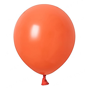 Beaumode Tropical Luau Party Balloon Garland Arch Kit for Hawaiian Beach Pool Theme Aloha Party Birthday Flamingo Party Backdrop Decorations and Suppliers (Rose Orange Blush)