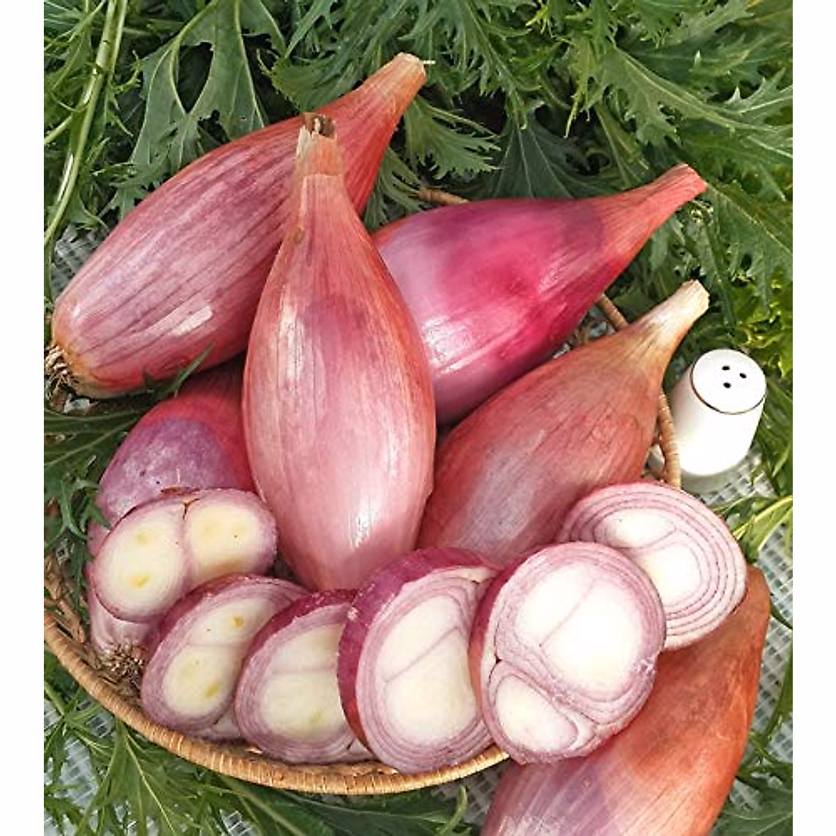 RAISE ME UP: Seeds Red Banana Shallot Onion Non GMO Heirloom